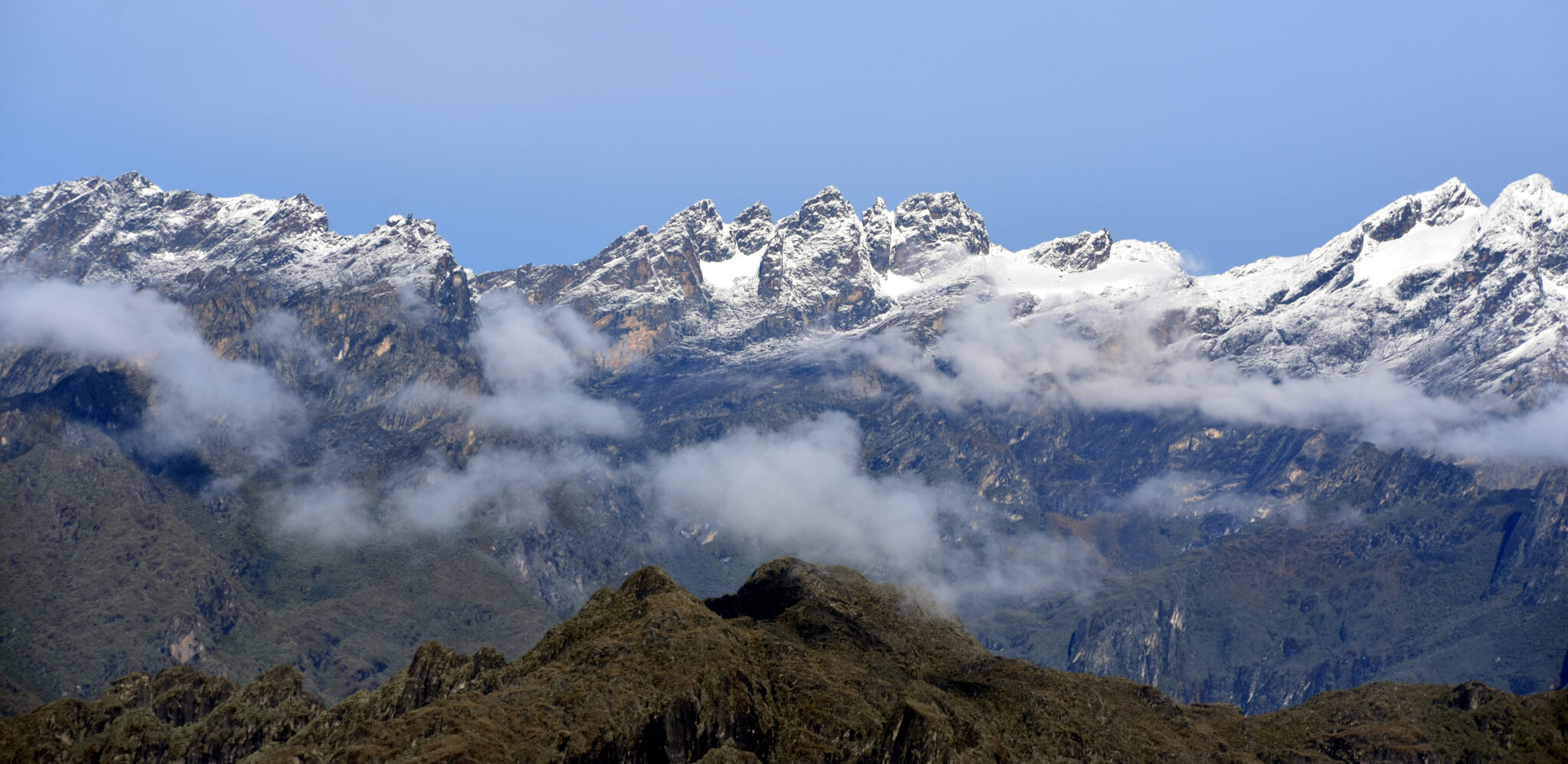 Rwenzori Mountains National Park - Svens Tours